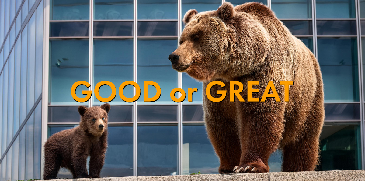 Good or Great? - The Rosen Group